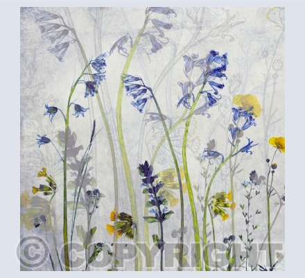Artist's Page